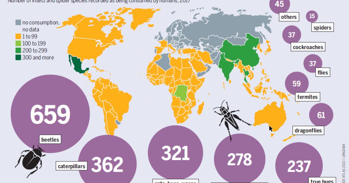 Beneficial Insects: Small Creatures With Big Impacts | Heinrich Böll ...